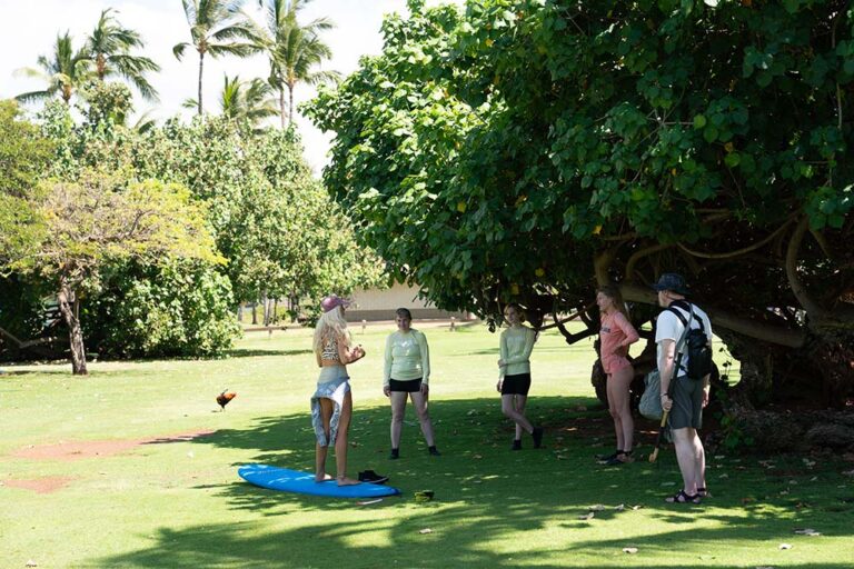 Surf Lessons in Maui, Beginner to Private Surf Classes | Surf Shack Maui